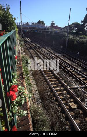 Railroad tracks next to a cliff by the sea on a sunny day Stock Photo ...