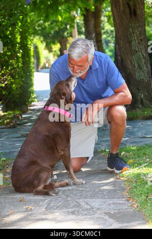 human and Labrador Retriever Stock Photo - Alamy