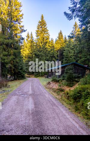 Germany, Thuringia, Suhl, Gehlberg, Schneekopf (second highest mountain ...