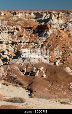 Petrified Forest National Park Stock Photo - Alamy