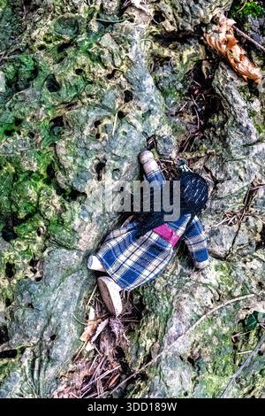 Abandoned doll in autumn forest Stock Photo - Alamy