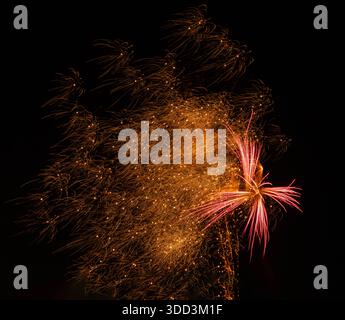 Bright, pink fireworks against the background of the night sky. High ...