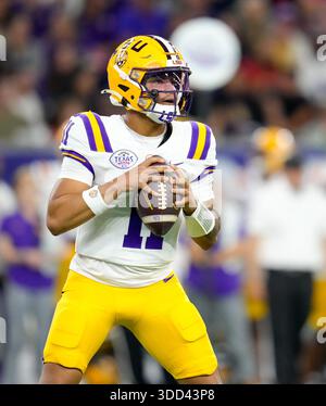 LSU quarterback Michael van Buren Jr. (11) looks to pass the ball ...