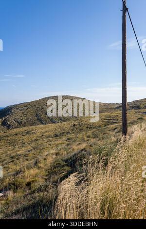 Utility pole stands in an open field with power lines stretching above ...