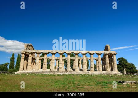 Ancient Doric temple at Paestum framed by trees, with mountains in the ...