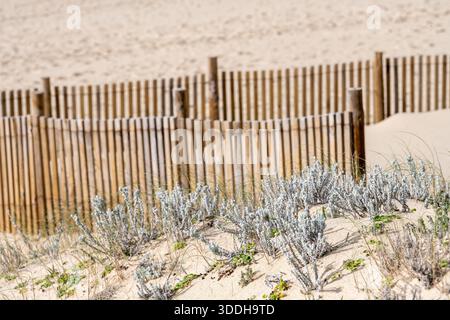 Sesimbra Portugal December 25 2025. Wooden pier and small boats sit on ...