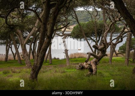 Sesimbra Portugal December 25 2025. A wooden pier extends into lagoon ...
