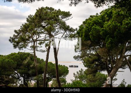 Sesimbra Portugal December 25 2025. Long wooden pier stretches across ...