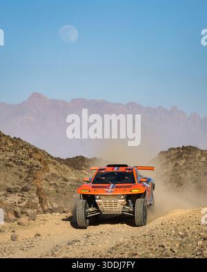 262 WANG Guorui (chn), TIAN Yu (chn), Longmai Motorsport, Longmai ...