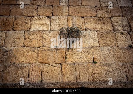 Jerusalem, Israel, January 1, 2026 Ancient stones of the Western Wall ...