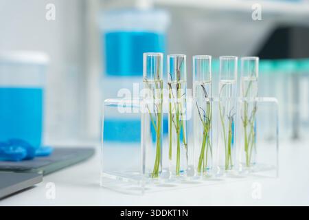 Environmental science, scientists examining plant genetics in test ...