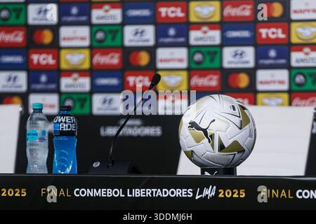 Detail view of a Puma match ball during the Premier League match at ...