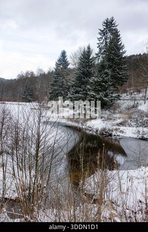 Schmitten, Germany. 02nd Jan, 2026. After the onset of winter, snow ...