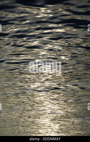 Shiny silver water on the sea pebble beach, early morning sunrise Stock ...