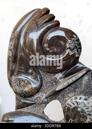 Ammonites fossils, Erfoud, Kingdom of Morocco, North Africa Stock Photo ...