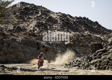 01 SANDERS Daniel (aus), Red Bull KTM Factory Racing, KTM 450 Rally ...