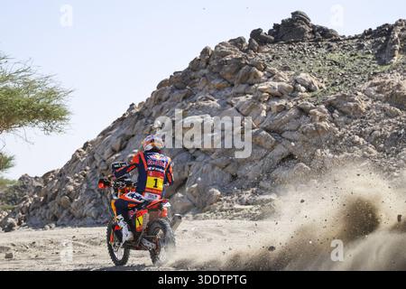 01 SANDERS Daniel (aus), Red Bull KTM Factory Racing, KTM, Rally GP ...