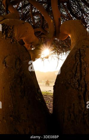 25 MARTINY Jérôme (bel), Anquety Motor Sport, Honda, Rallye 2, FIM W2RC ...