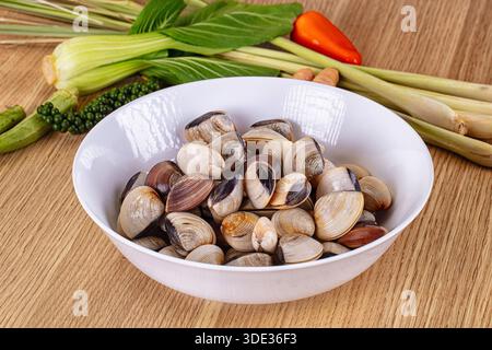 Raw fresh wild clams mollusc in the bowl Stock Photo - Alamy