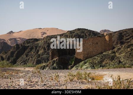 Al Ula, Arabie Saoudite. 05th Jan, 2026. 336 NAVARRO Pau (esp), ROSA I ...