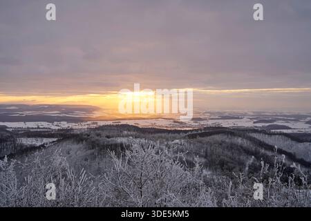 11 January 2026, Lower Saxony, Seevetal: Walkers stroll along a country ...