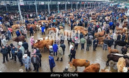 XINGYI, CHINA - JANUARY 6, 2026 - People purchase cattle at a livestock ...