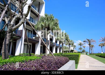 The marvelous Hyatt Regency Resort and Spa (Travel + Leisure World’s ...