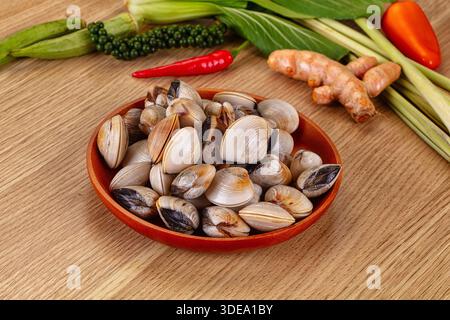 Raw fresh wild clams mollusc in the bowl Stock Photo - Alamy