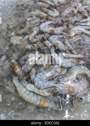 Fresh cooked shrimp piled in oval white bowl on textured dark gray ...