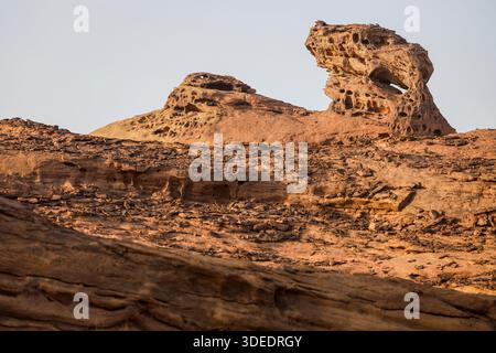 Sunrise during the Stage 7 of the Dakar 2026, on January 11, 2026 ...