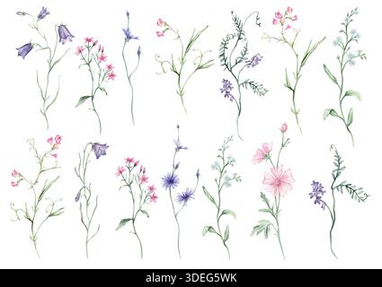 Forget-me-not flower botanical clipart set with pink blooms and green ...