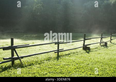 Morning fog on a meadow against a forest horizon Stock Photo - Alamy
