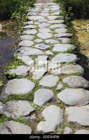 Roman Art. Ostia Antica. Harbour city of ancient Rome. Columbarium with ...