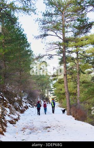 Family of four walking through water and sand at the beach. They are ...