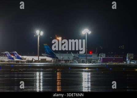 15 January 2026, Hesse, Frankfurt/Main: View of a search dog with ...