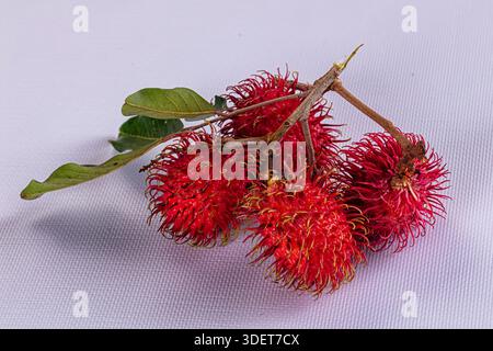 Sweet ripe juicy haired rambutan fruit Stock Photo - Alamy