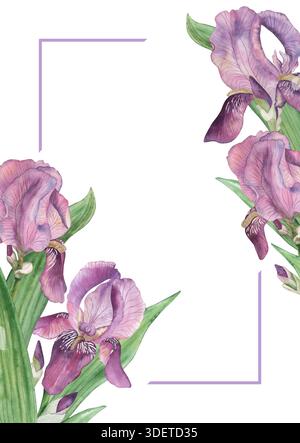 Watercolor floral corner border with purple magnolia branch and ...