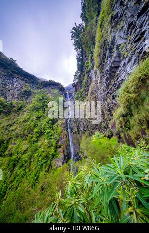 Levada do Risco, Mountain Footpath, Irrigation Channel Maintenance ...