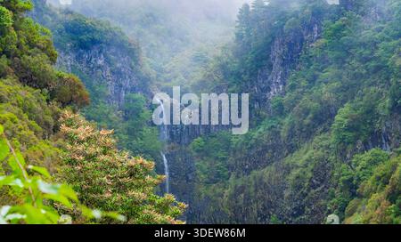 Levada do Risco, Mountain Footpath, Irrigation Channel Maintenance ...