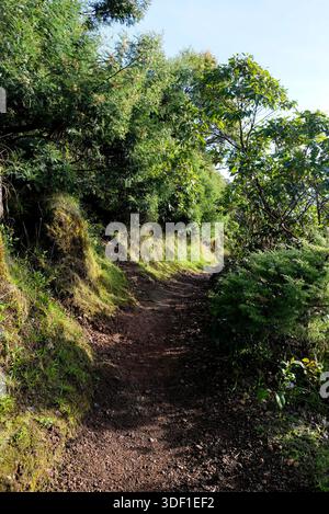Hiking trail on Mount Ramelau, Timor Leste Stock Photo - Alamy