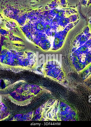 3D rendering of a green alien isolated on white background Stock Photo ...