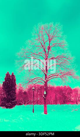 A vertical shot of an evergreen tree covered in a thin layer of snow ...