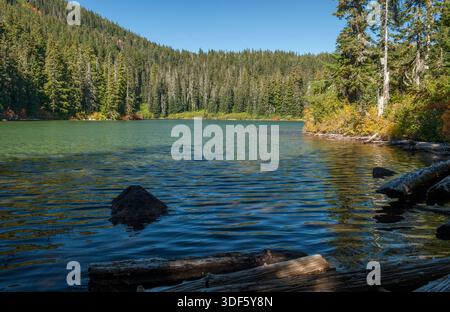 Shellrock Lake, Roaring River Wilderness, Mt Hood National Forest ...