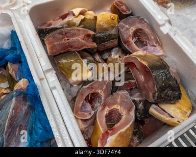 Cut pieces of carp Stock Photo - Alamy