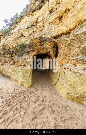 Picture of Arch Rock area in the Yoshua Tree National Park with cactus ...