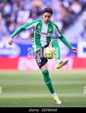 Valentin Gomez of Real Betis during the Spanish championship LaLiga ...