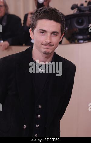 Timothée Chalamet attends the 83rd annual Golden Globe Awards at The ...