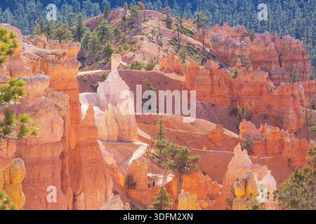 Picturesque colorful pink rocks of the Bryce Canyon National park in ...