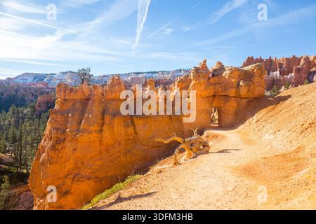 Picturesque colorful pink rocks of the Bryce Canyon National park in ...