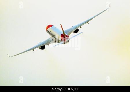Edelweiss Copyright: xSergioxBrunettix Stock Photo - Alamy